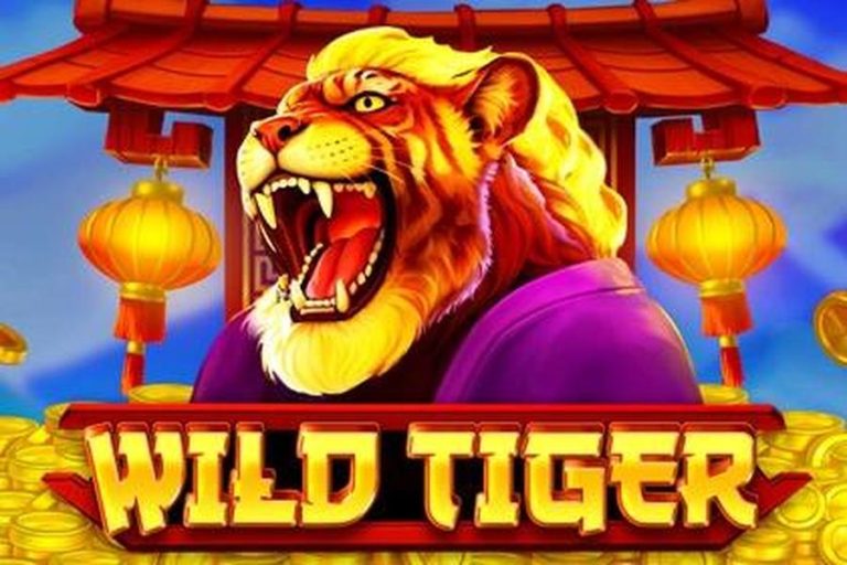 BGaming Slots and Casino Games ᐈ Play for Free Or Real Money